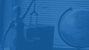 What Is GLEIF? (Global Legal Entity Identifier Foundation)